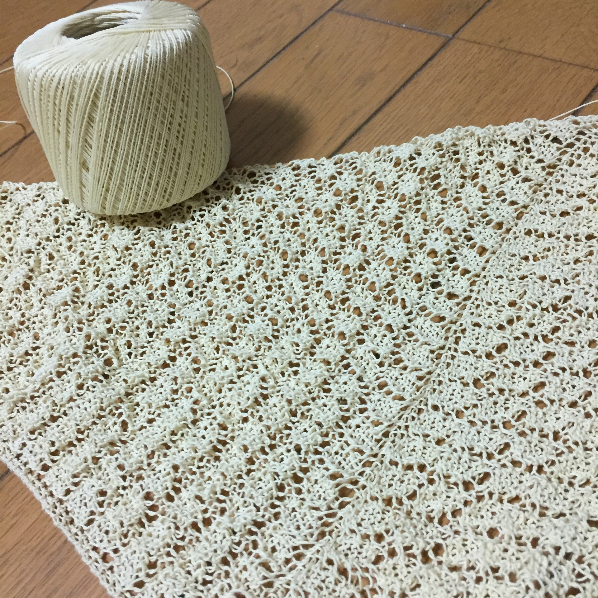 Swallowtail Lace Shawl その1: 日々の積み重ね